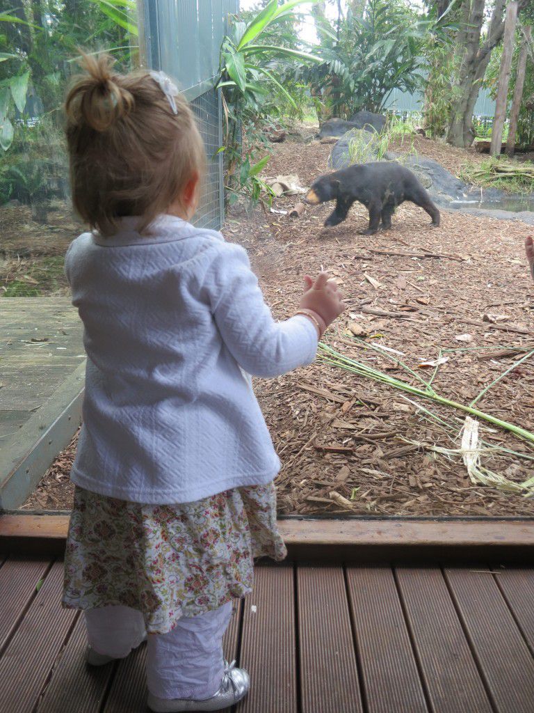 Perth Zoo: Fun things to do with kids in Perth