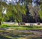 Picnic_area-small | Parenthub